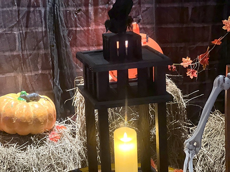 Mô hình con quạ đen giả trang trí TCV-QUA-01