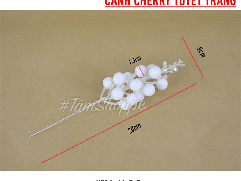 Cành trái trang trí handmade nhiều kiểu CANHTRAI-01